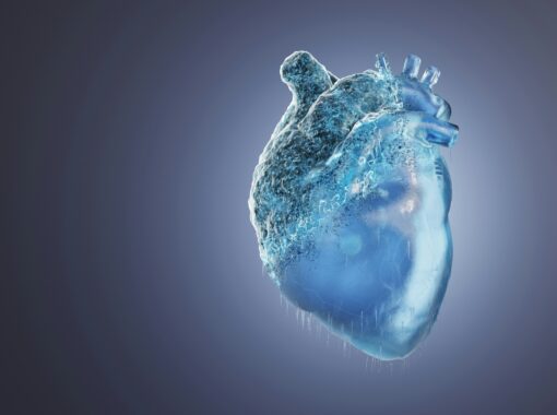 Trusted Cardiologist Dr. Jose Jacob in Florida